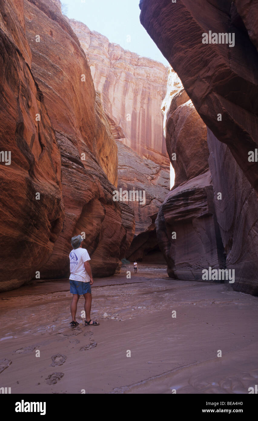 Hiking In Paria Canyon, Paria-Vermillion Wilderness Stock Photo - Alamy