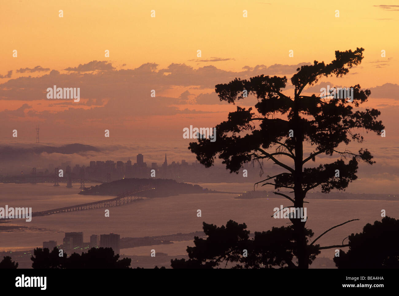 View Of San Francisco From The Berkeley Hills Stock Photo - Alamy