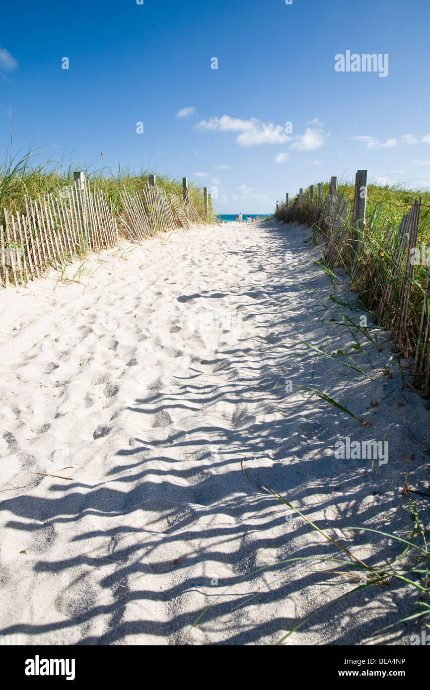 Sandy path leading to world famous South Beach Stock Photo - Alamy