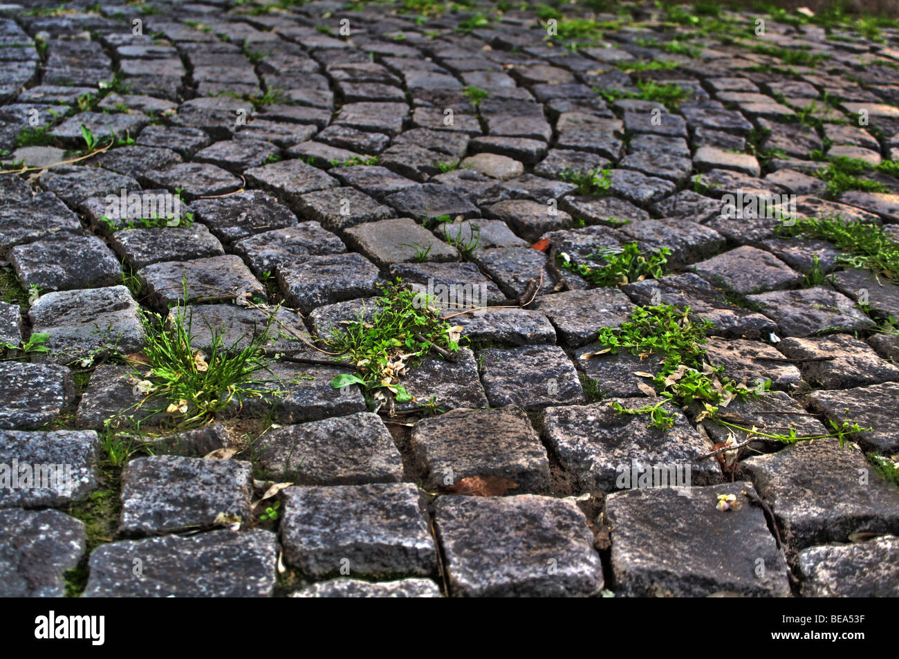 Cobblestone Cobblestones Stock Photos & Cobblestone Cobblestones Stock ...