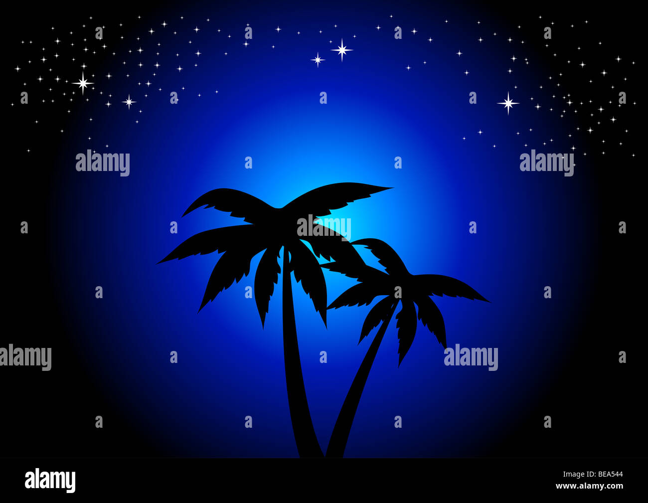 Palm Trees At Night Photos at Sandra Wells blog