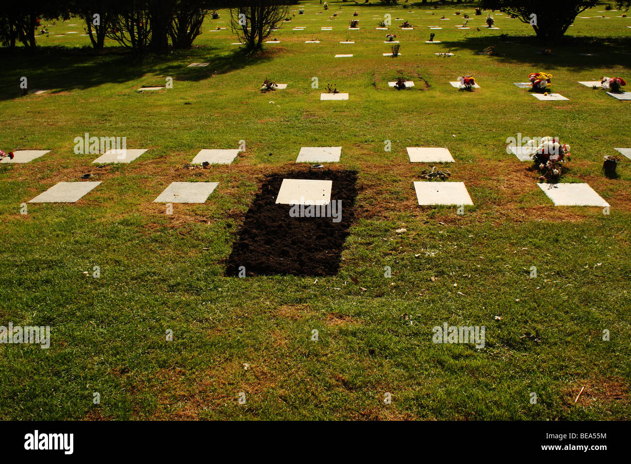 A recently dig tomb Stock Photo - Alamy