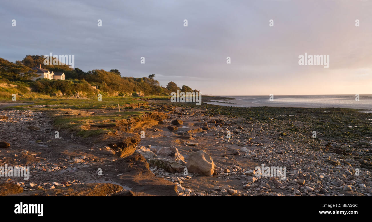 Evening light across the beach at Silverdale, Morecambe Bay, Lancashire ...