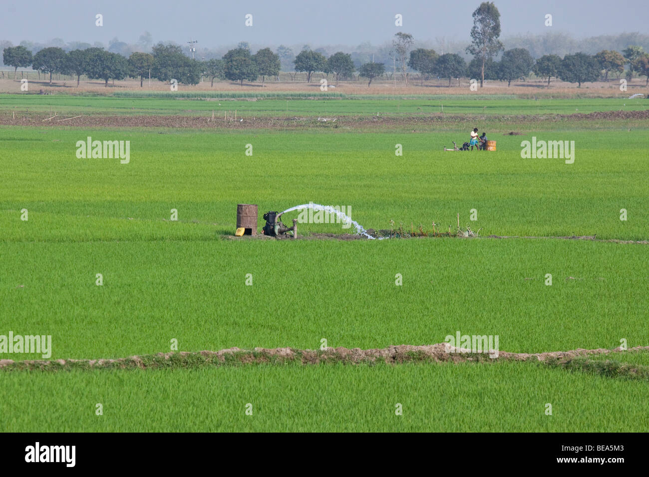 Agriculture India Pump Water High Resolution Stock Photography and ...