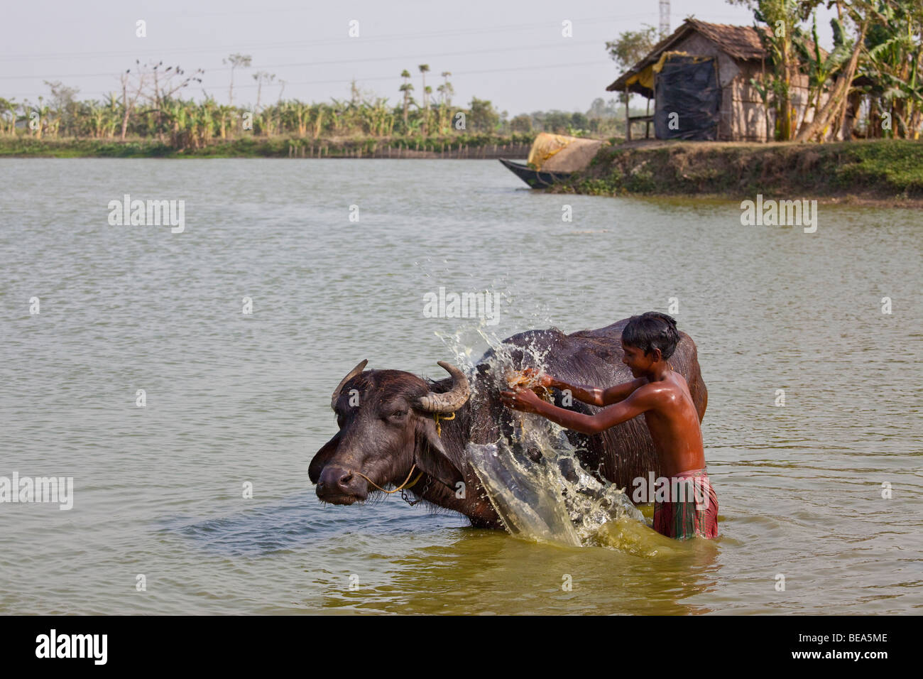Buffalo river child hi-res stock photography and images - Alamy