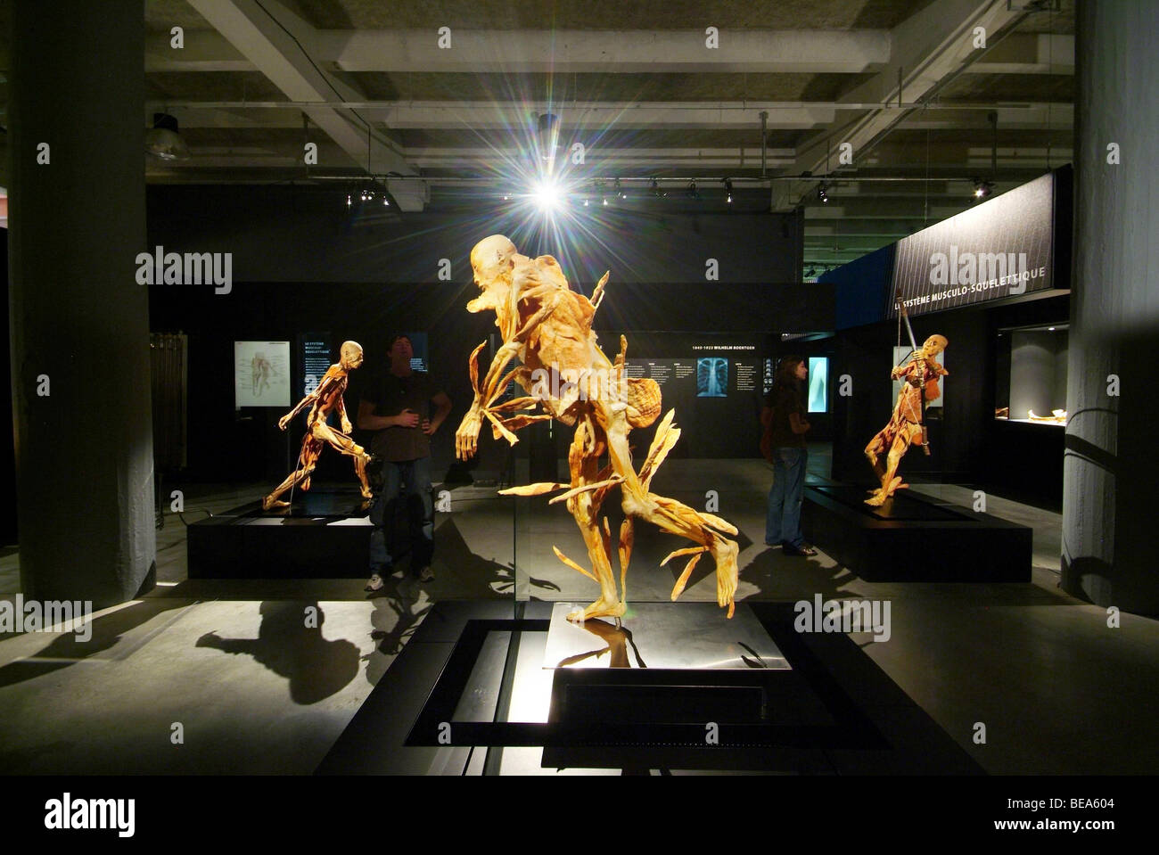 Lyon (69): Exhibition "Our Body / à Corps Ouvert" (2008-05-27 Stock ...