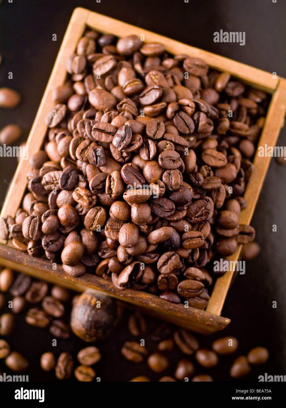 Ireland, Connemara: Lough Corrib lake Stock Photo - Alamy