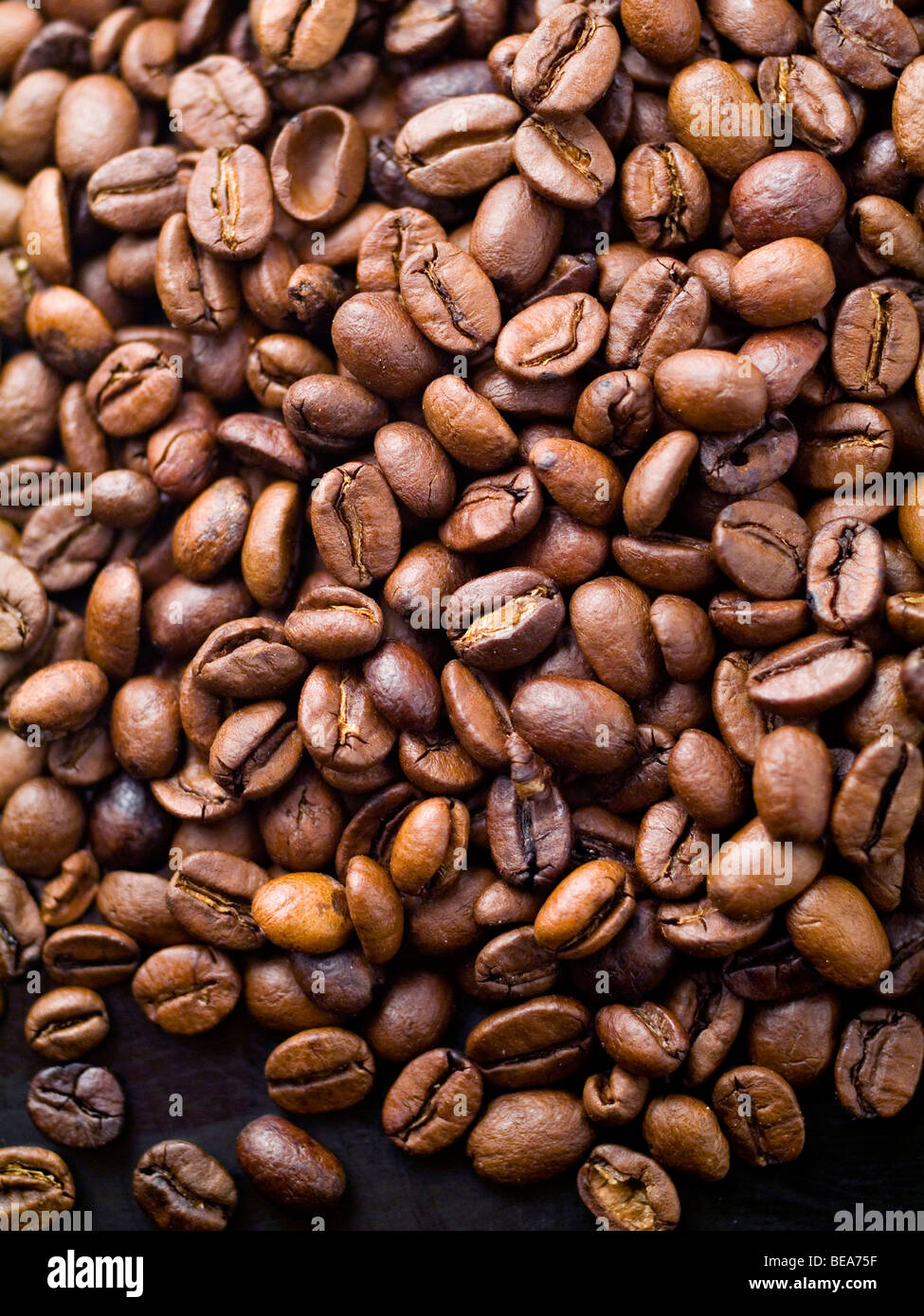 Ireland, Connemara: Lough Corrib lake Stock Photo - Alamy