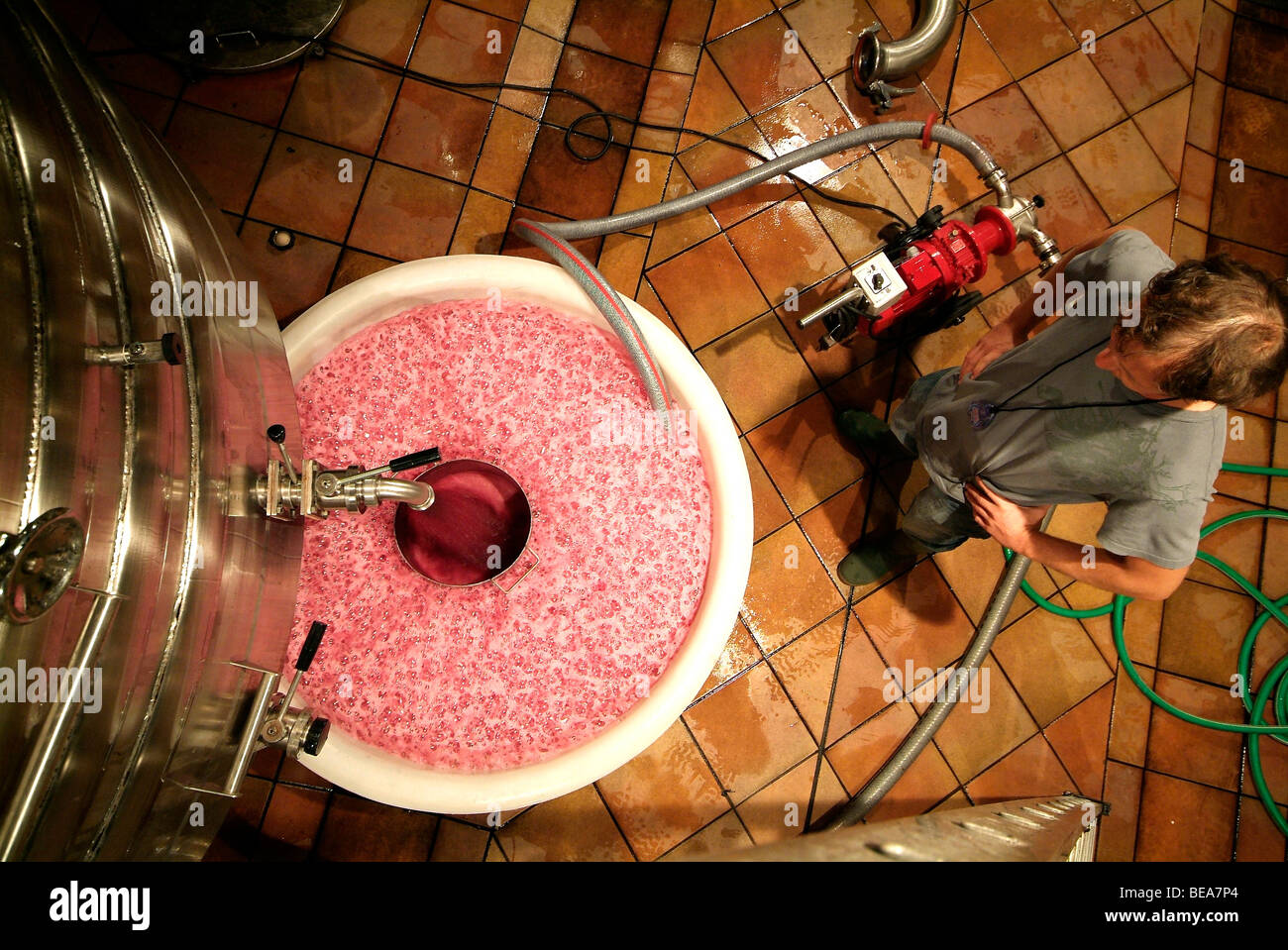 Margaux (33): wine and spirit store house of "château Palmer Stock ...