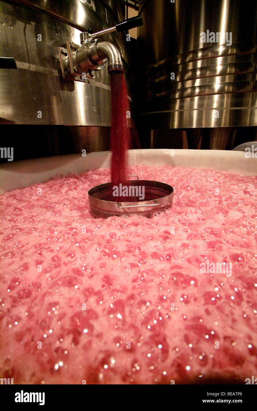 Margaux (33): wine and spirit store house of "château Palmer Stock ...