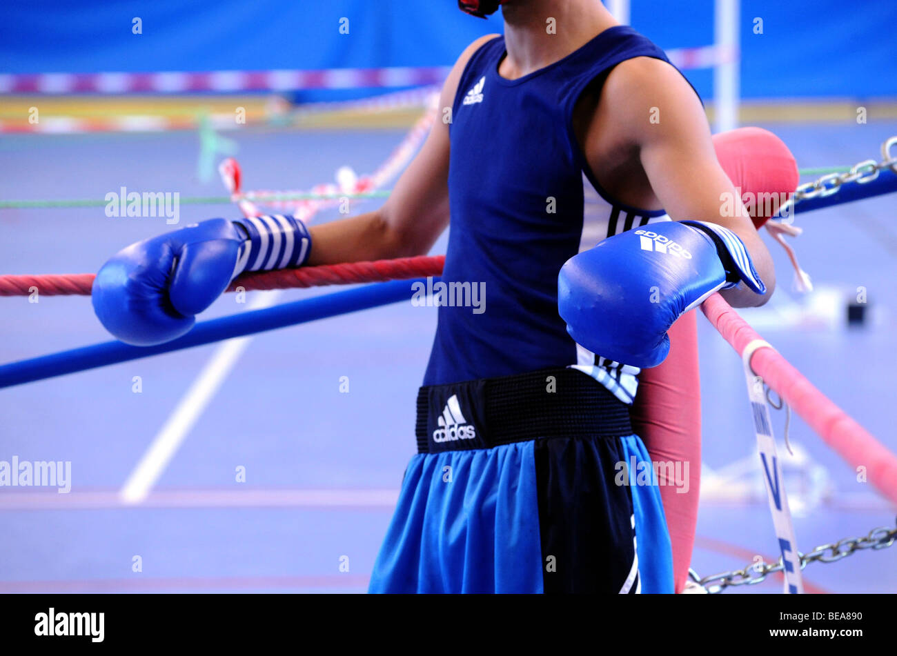 Boxer on a ring Stock Photo - Alamy