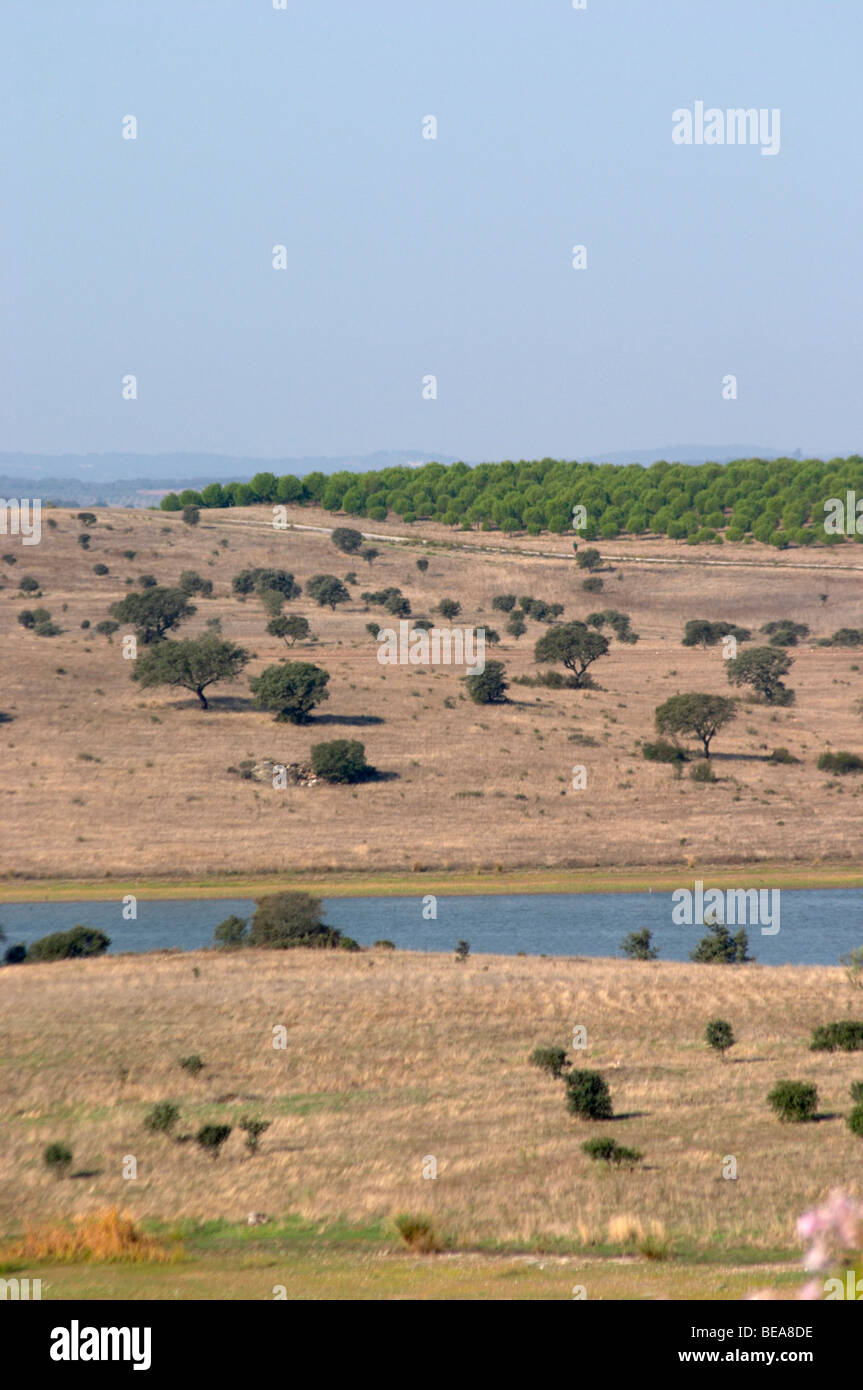 Alent hi-res stock photography and images - Alamy
