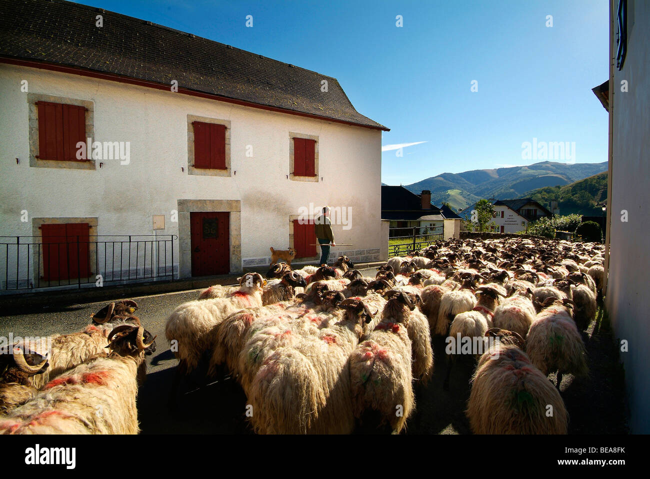 Larrau hi-res stock photography and images - Alamy