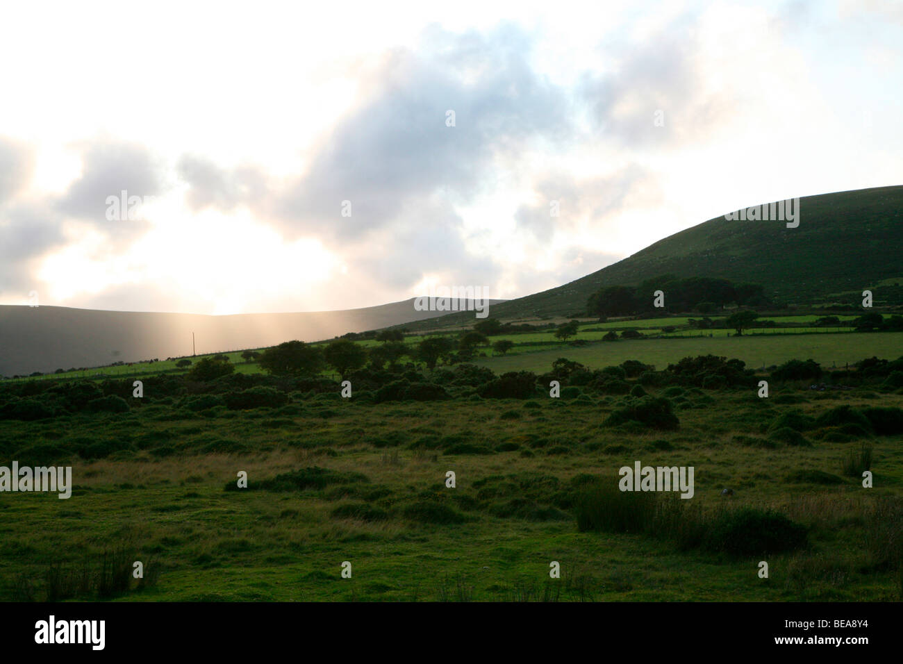 Preseli Hills landscape Mynachlogddu Pembrokeshire Wales Stock Photo ...