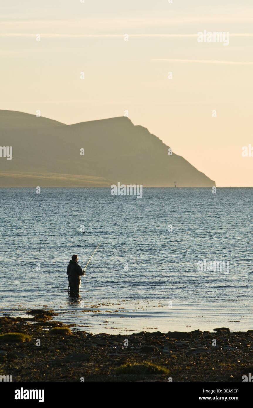 dh Wading fisherman SCAPA FLOW ORKNEY Angler fishing off shore evening ...