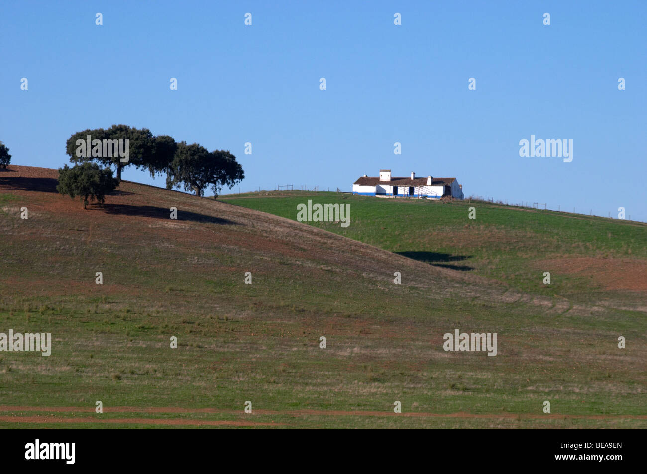 Portuguese farm house fields hi-res stock photography and images - Alamy