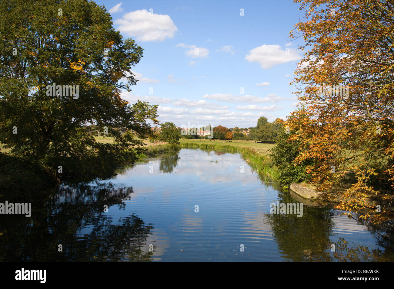 River Stour Sudbury Suffolk England Stock Photo - Alamy