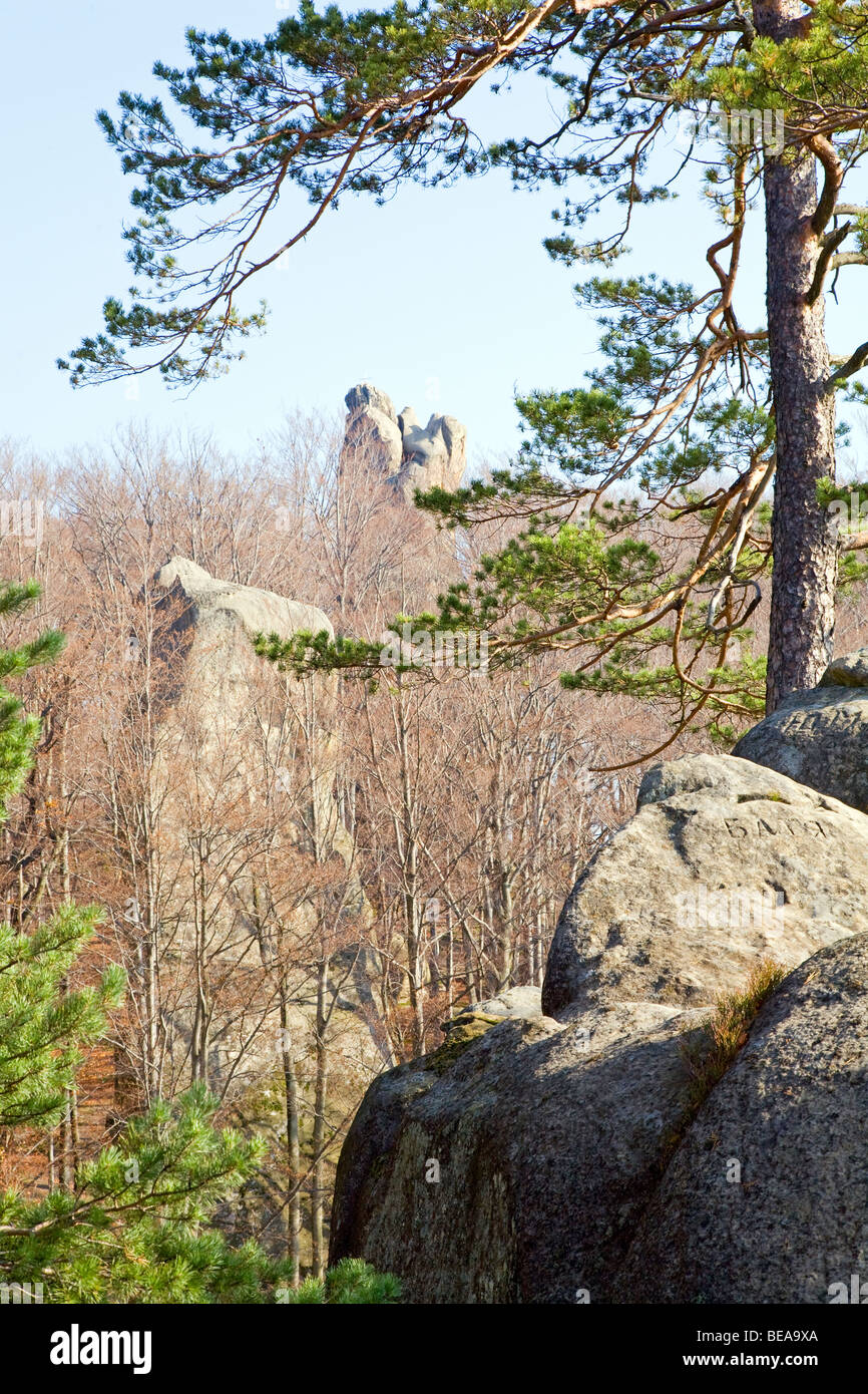 Large lofty stone in autumn forest and big tree on rocks top ( "Skeli ...