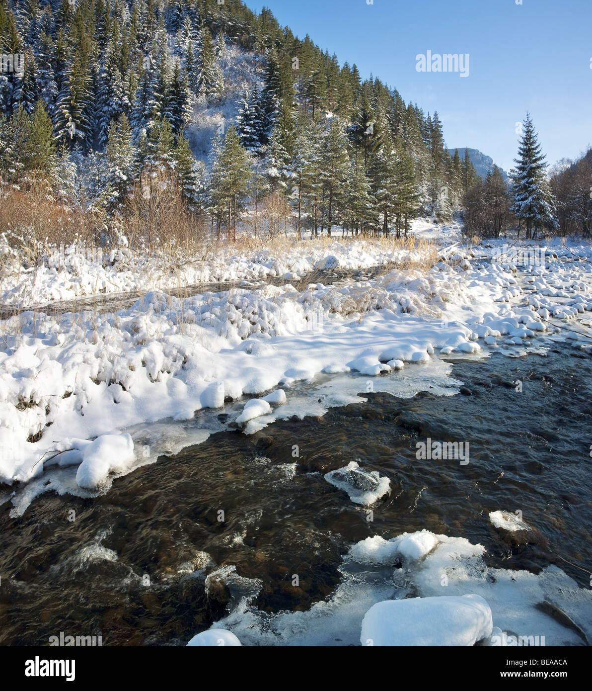 Iskar river with snowy stones, near Mala Tsarkva. Winter in Rila ...