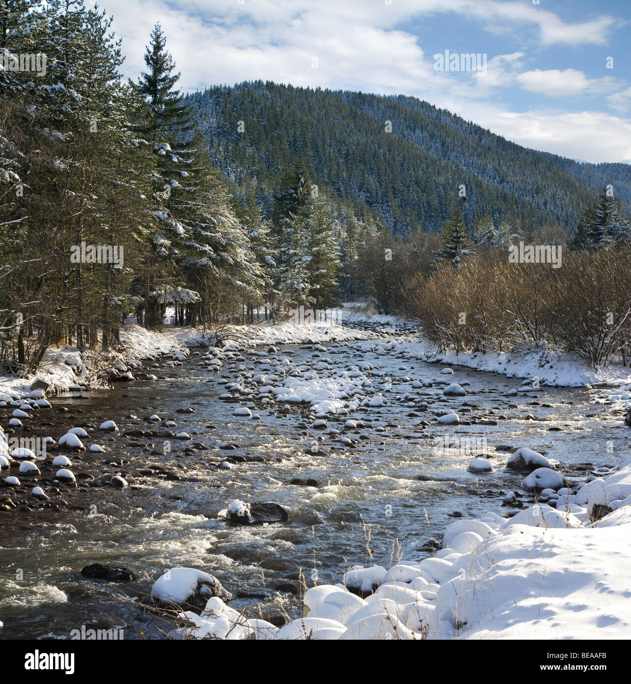 Iskar river with snowy stones, near Mala Tsarkva. Winter in Rila ...