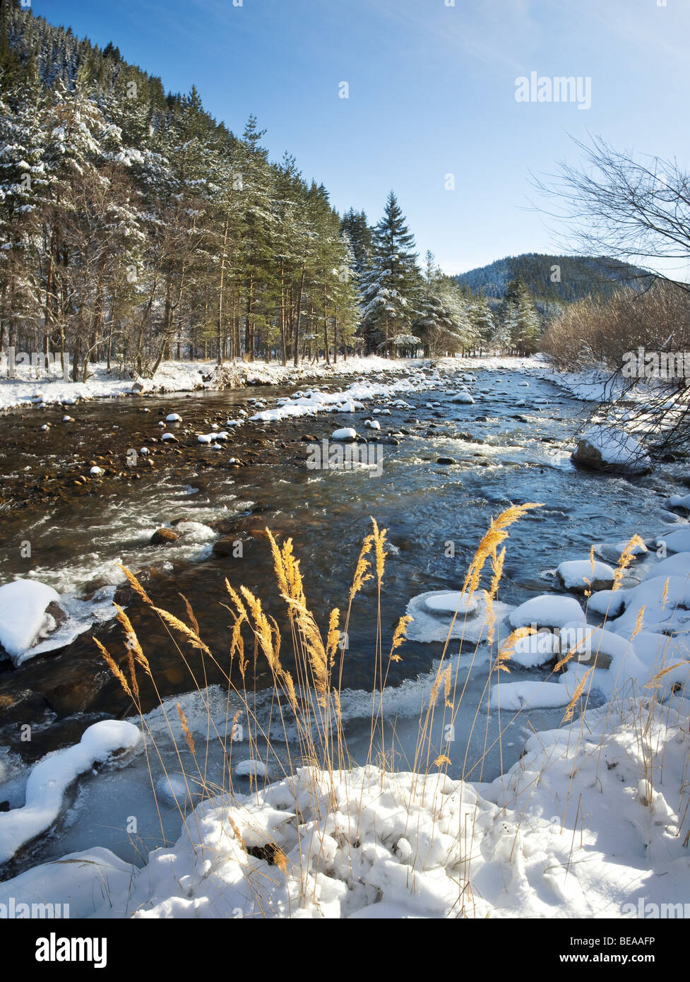 Iskar river hi-res stock photography and images - Alamy