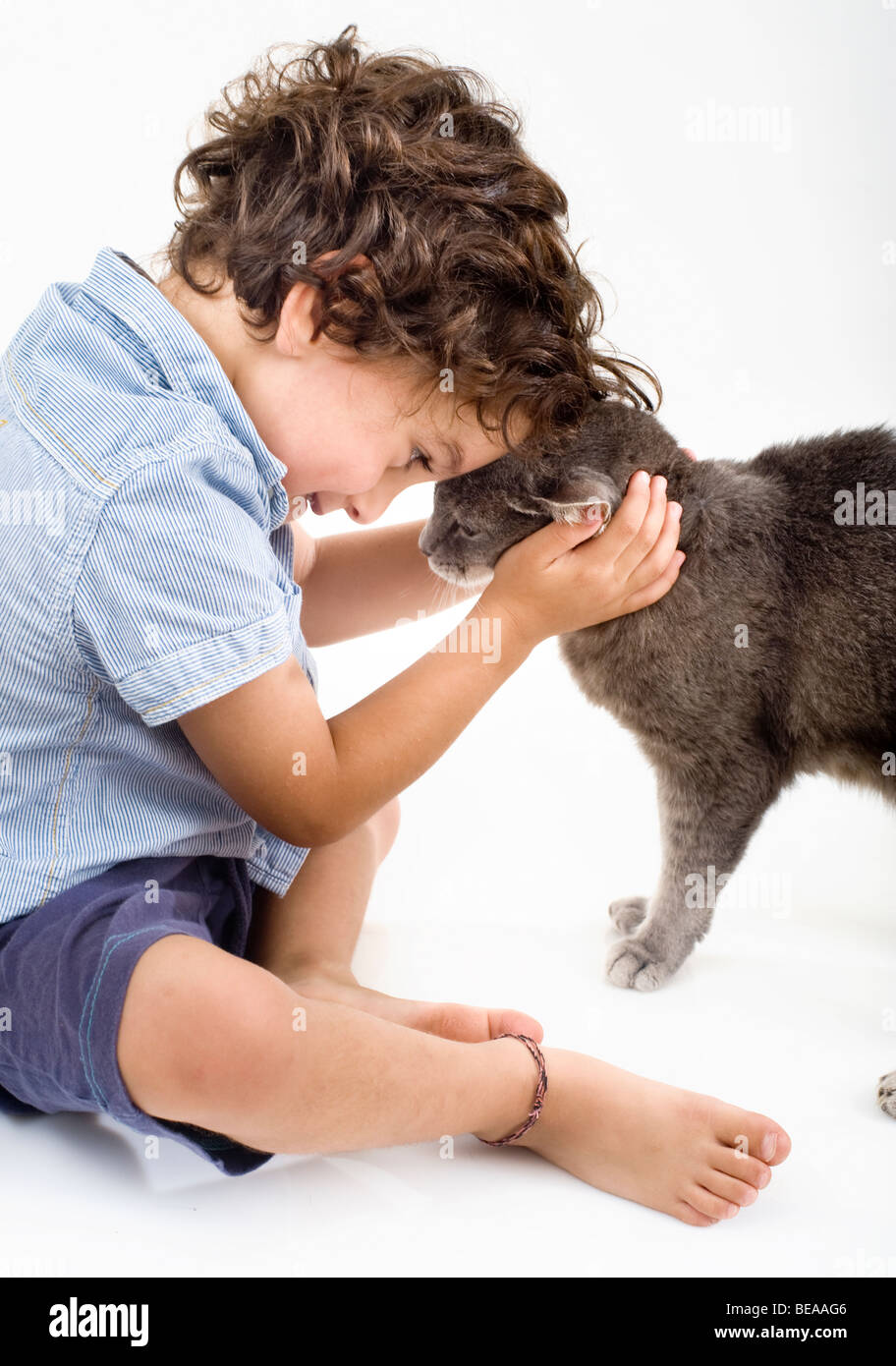 young boy playing with a gray cat Stock Photo - Alamy