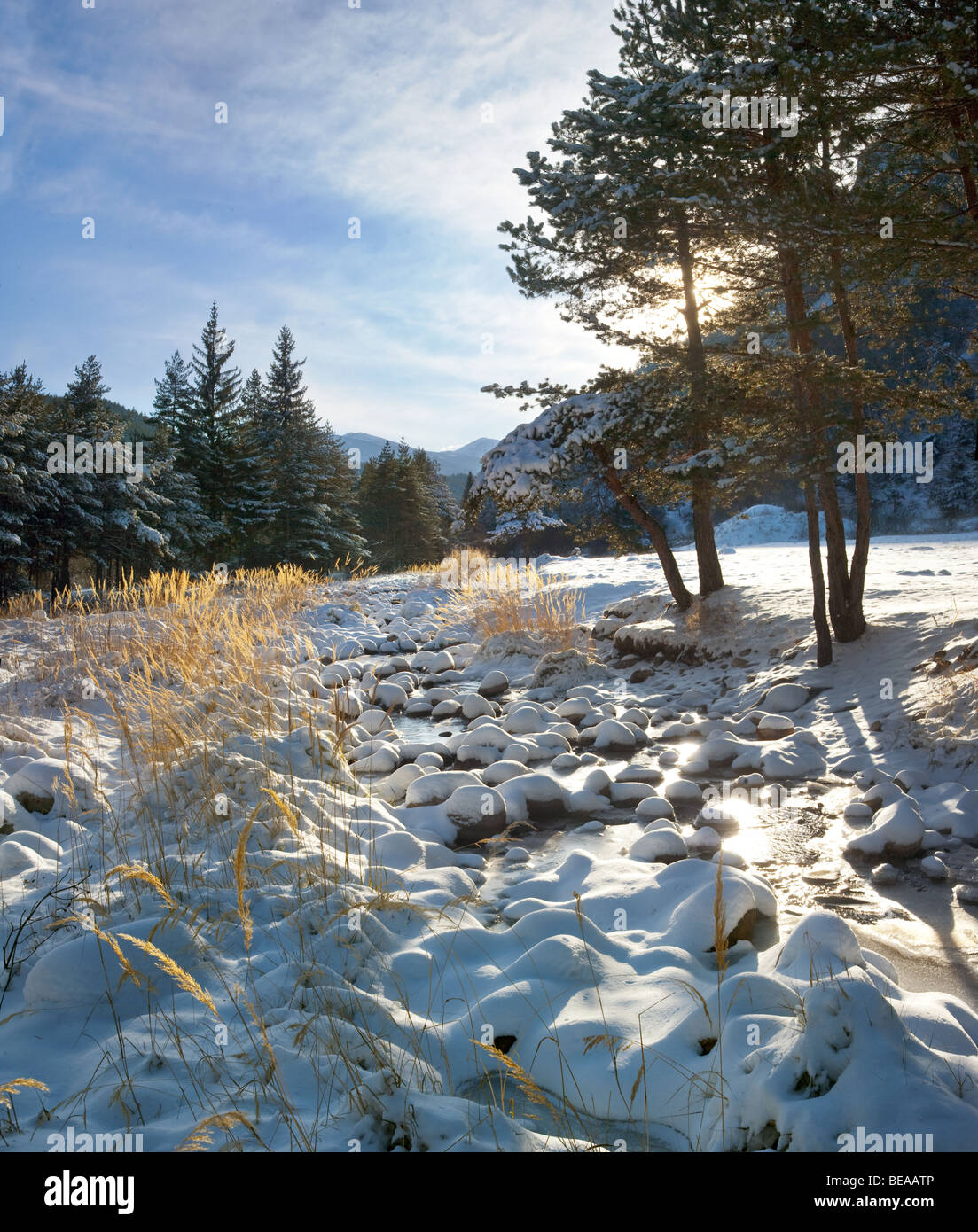 Iskar river with snowy stones, near Mala Tsarkva. Winter in Rila ...