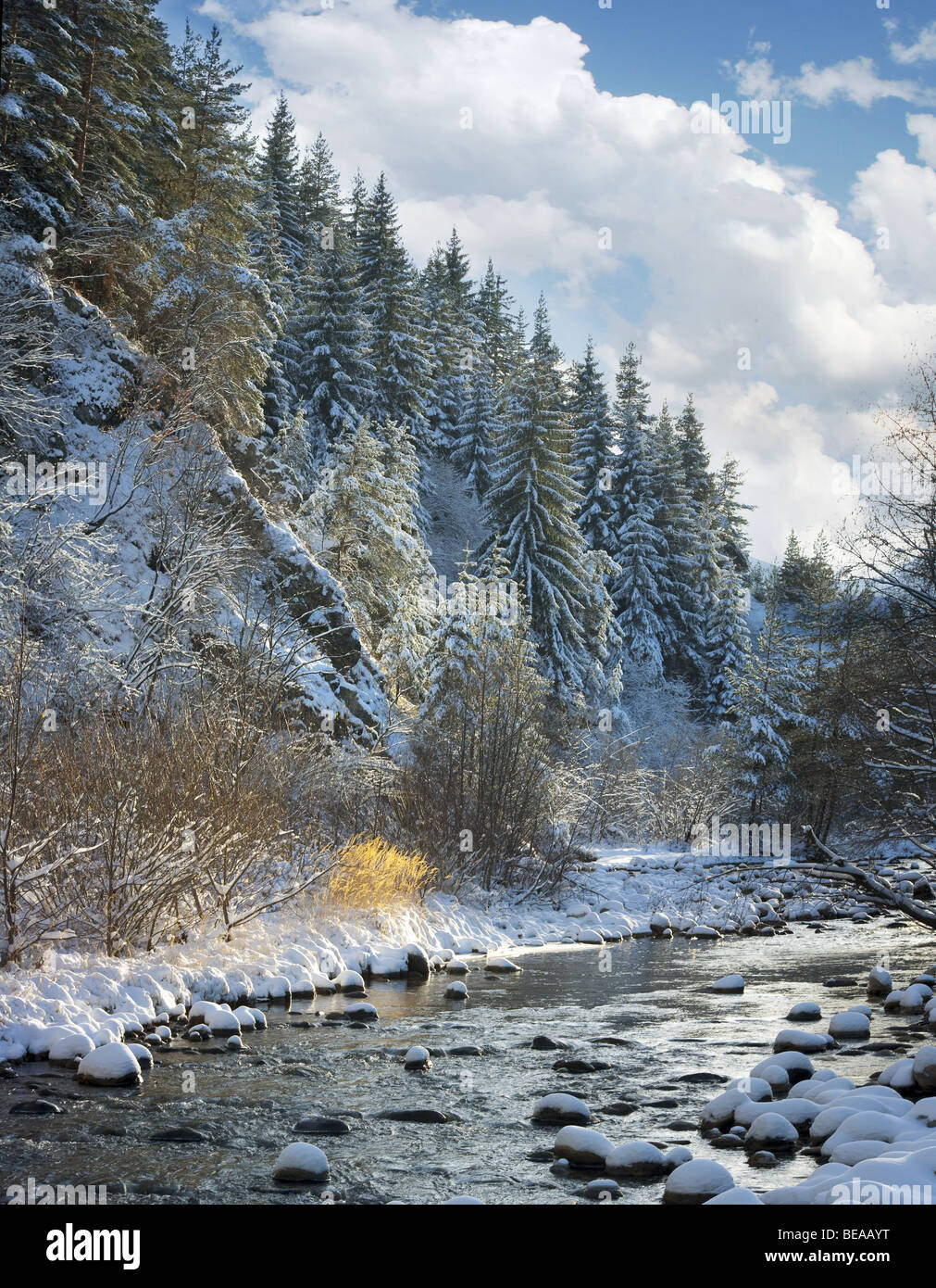 Iskar river with snowy stones, near Mala Tsarkva. Winter in Rila ...