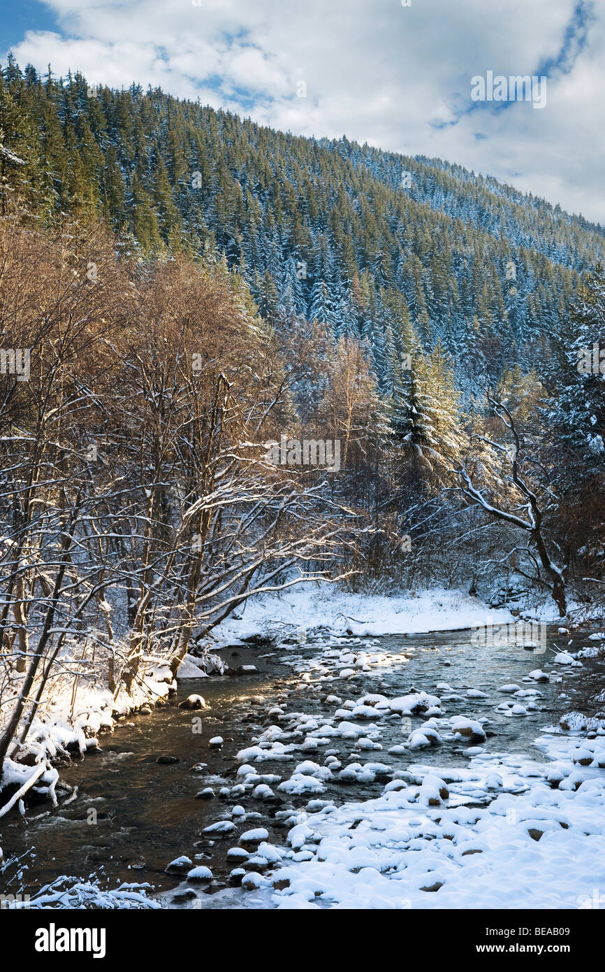 Iskar river with snowy stones, near Mala Tsarkva. Winter in Rila ...