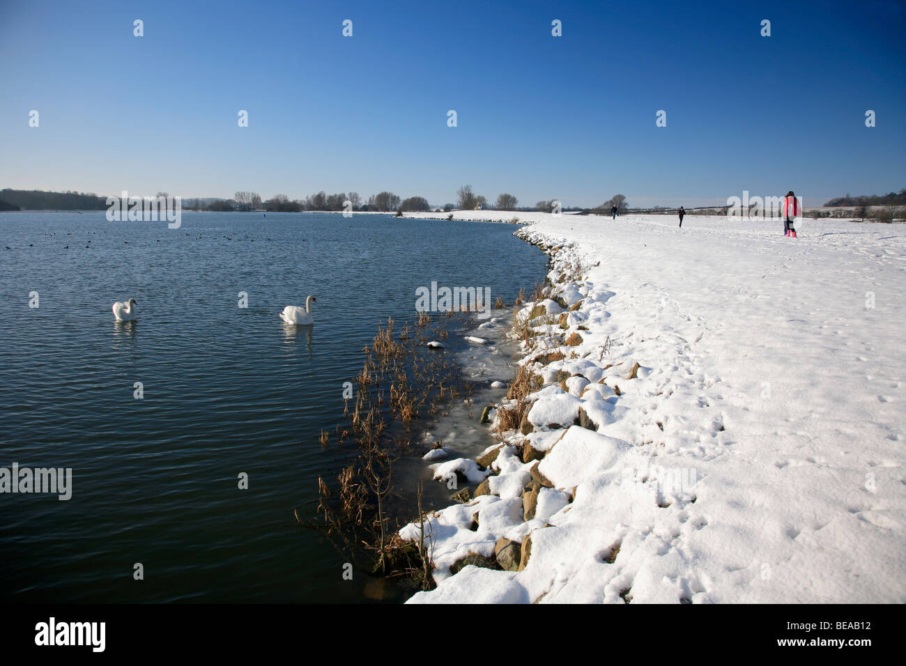 Winter Snow by the Lakes Ferry Meadows Country Park Peterborough ...