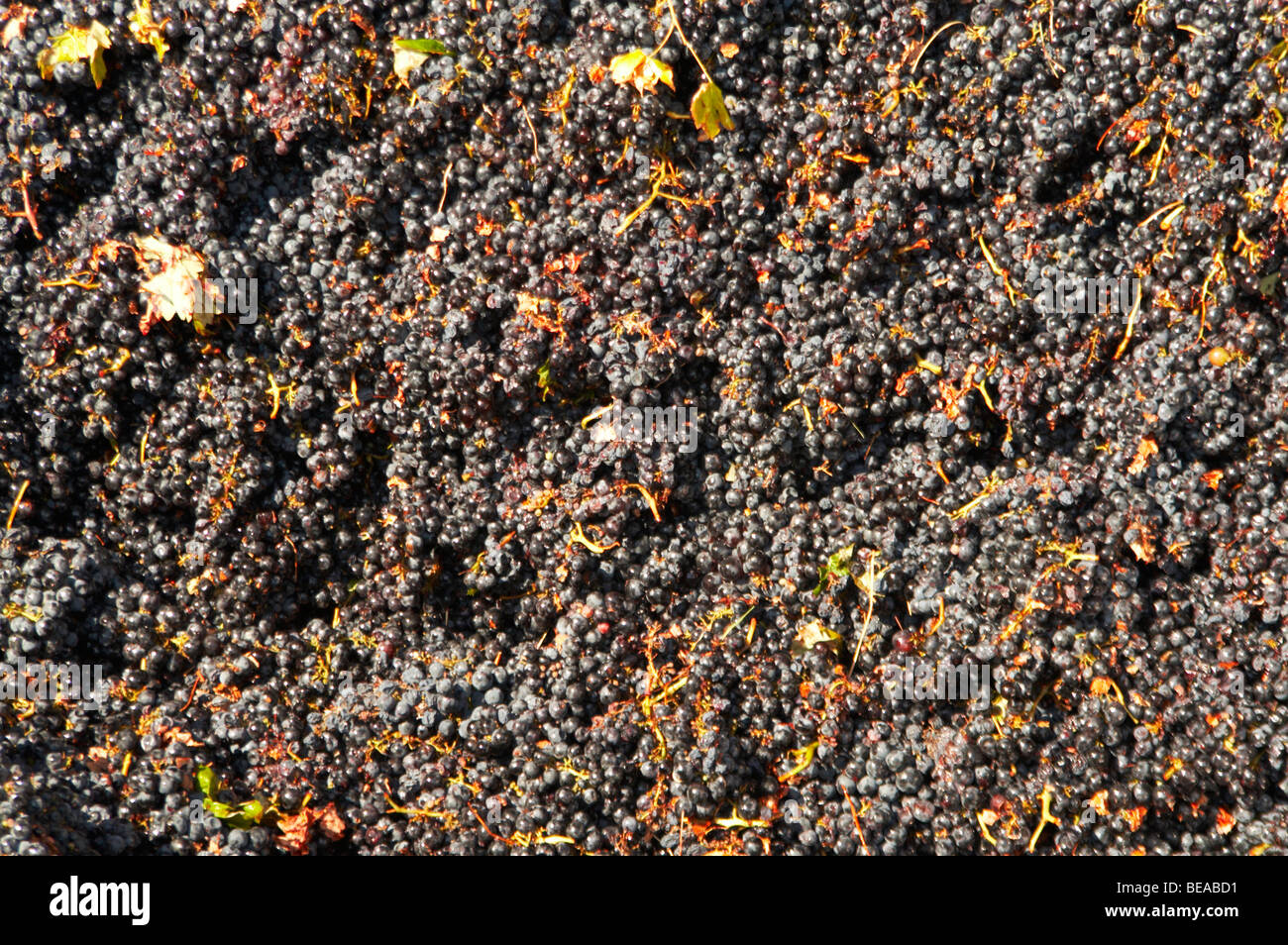 Delivery hopper hi-res stock photography and images - Alamy