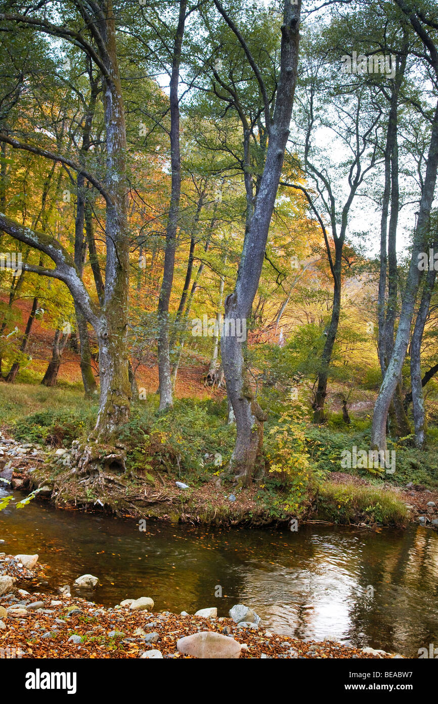 River in the forest. Autumn in the Balkan mountains, Kalofer Stock ...