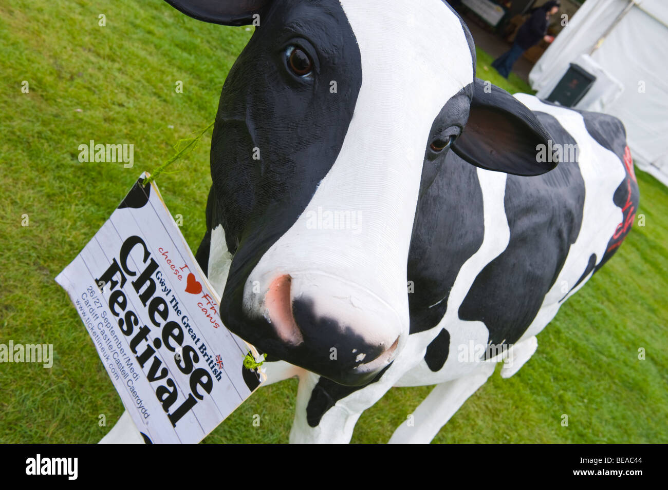 Promotional images hi-res stock photography and images - Alamy