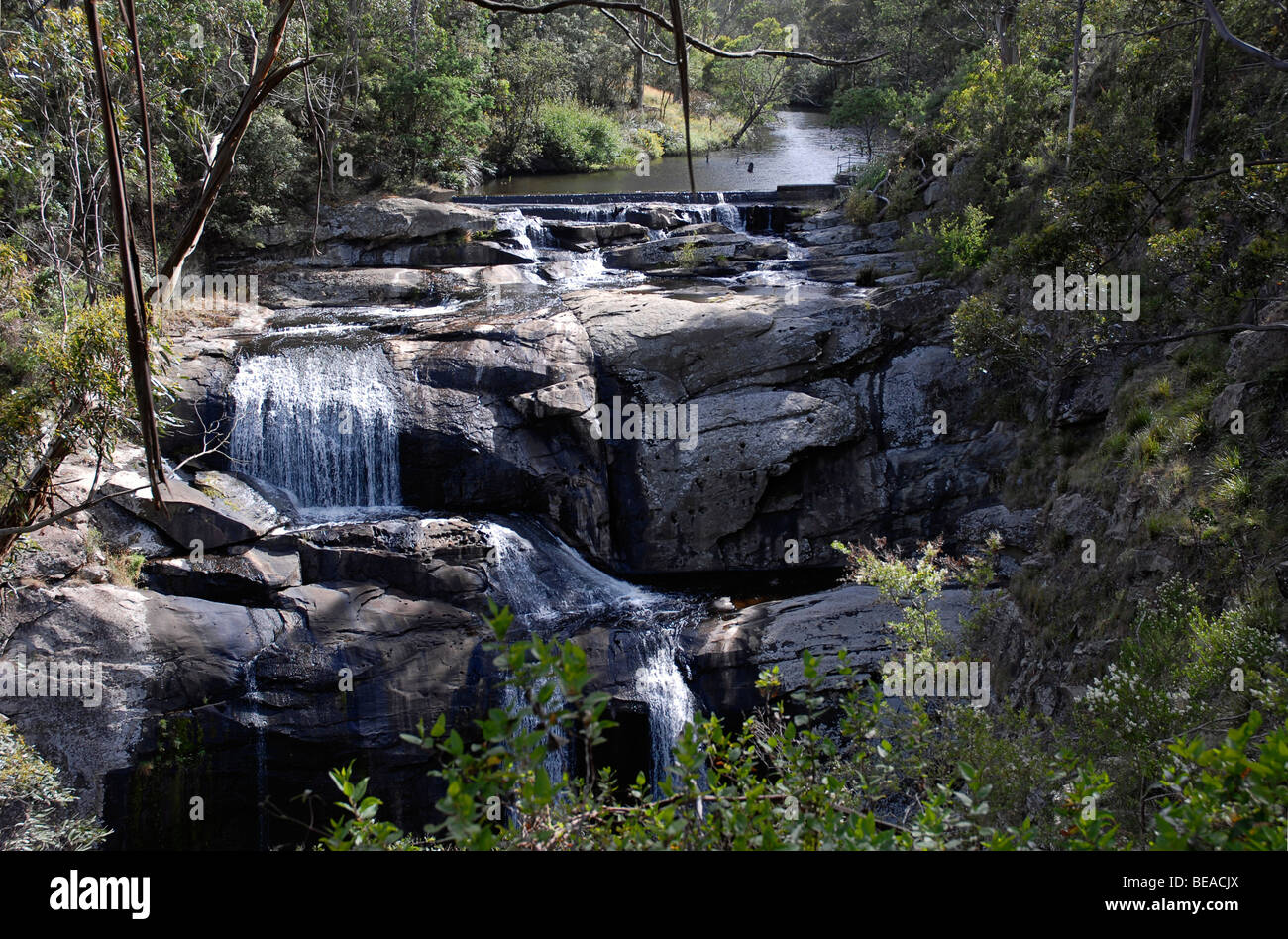 Agnes Falls, Agnes Falls Reserve. Victoria, Australia. Near Toora Stock ...
