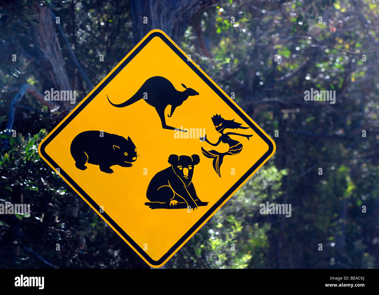 Quirky and distinctly Australian road sign Stock Photo - Alamy