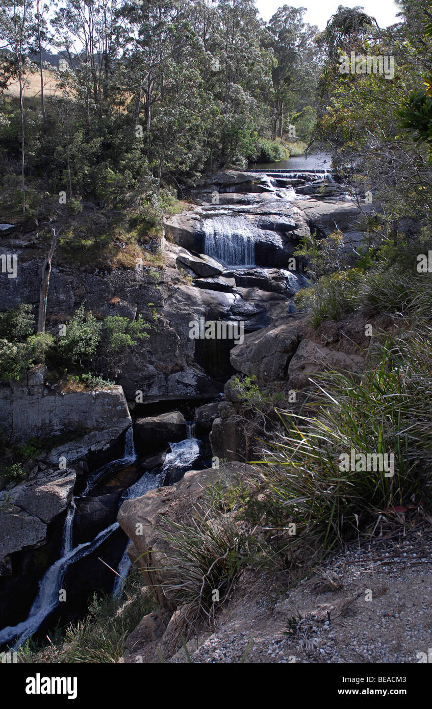 Agnes Falls, Agnes Falls Reserve. Victoria, Australia. Near Toora Stock ...