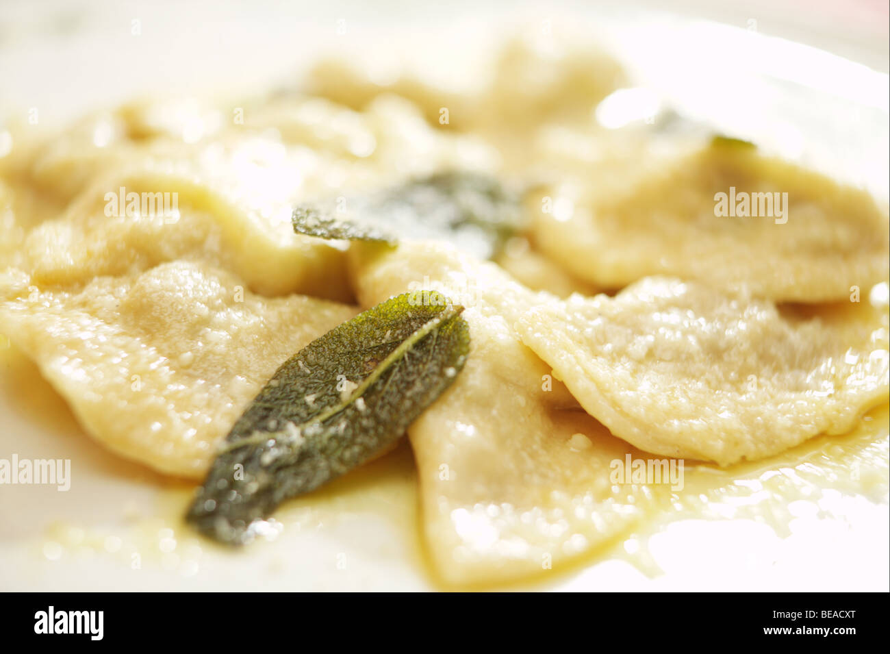 Italian cuisine. Pasta meal Stock Photo - Alamy