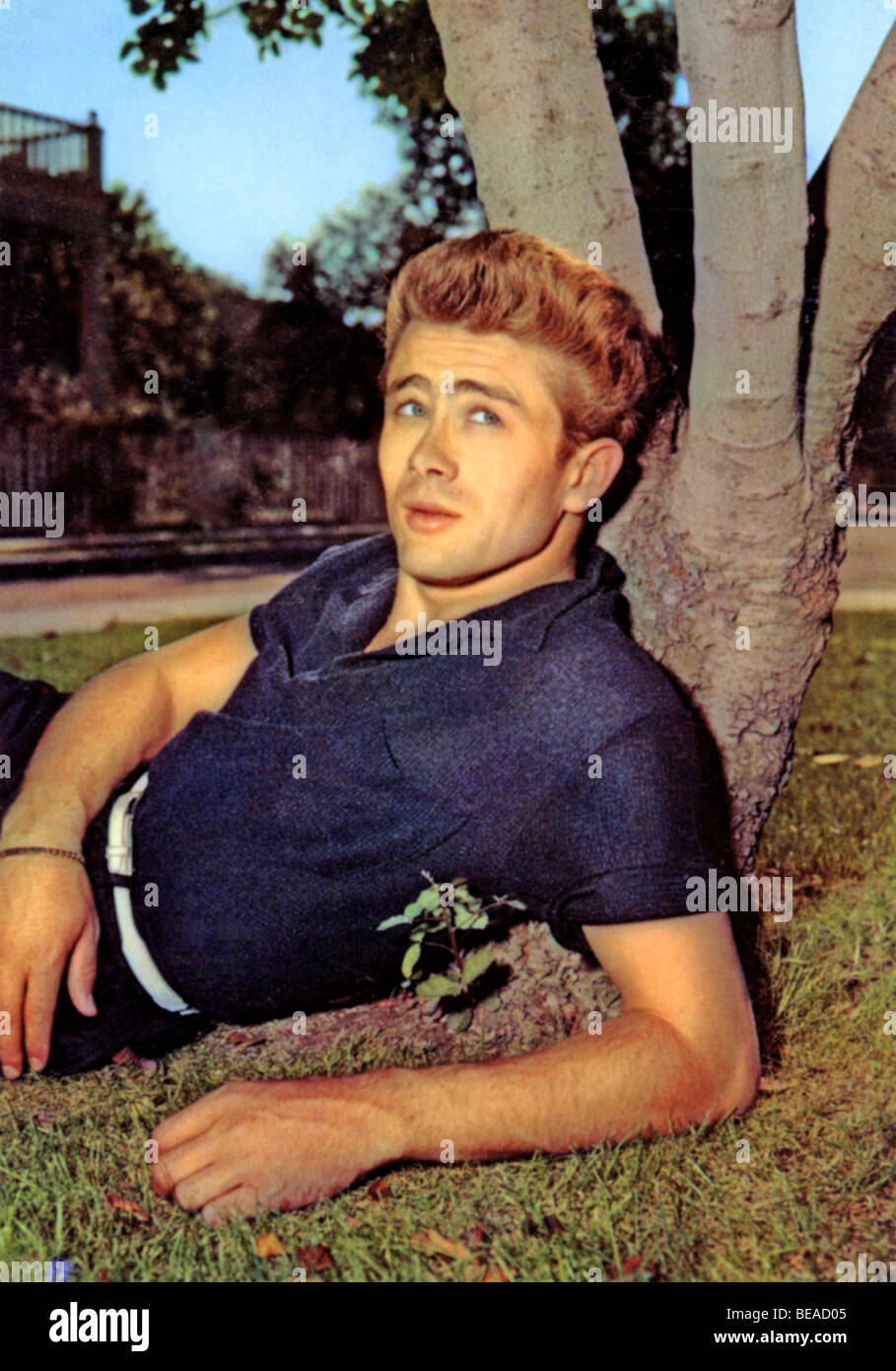 JAMES DEAN (1931-55) US film actor Stock Photo - Alamy