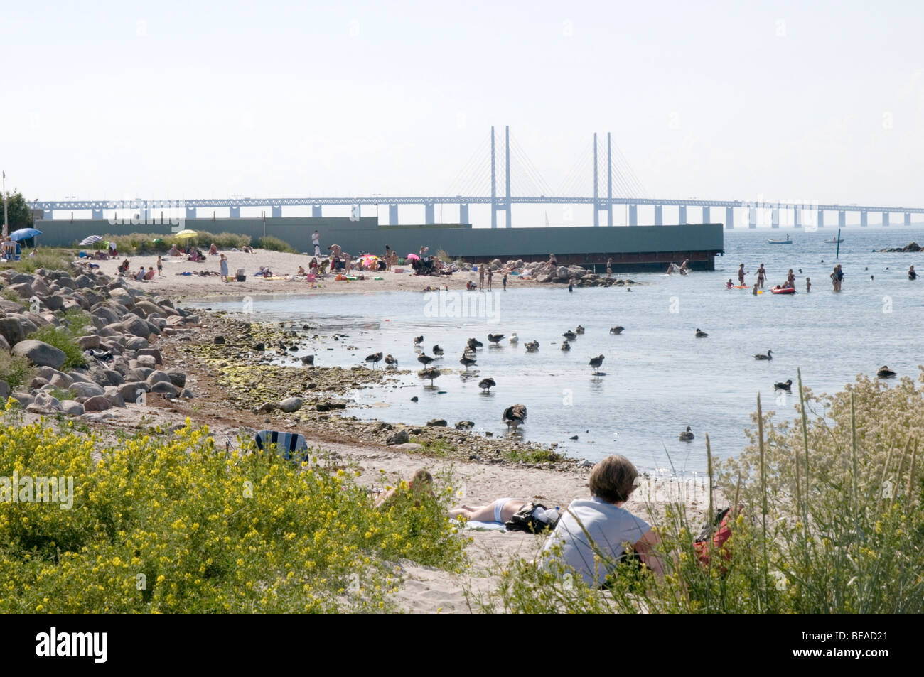 Oresund Bridge sweden denmark bridges road train rail building ...