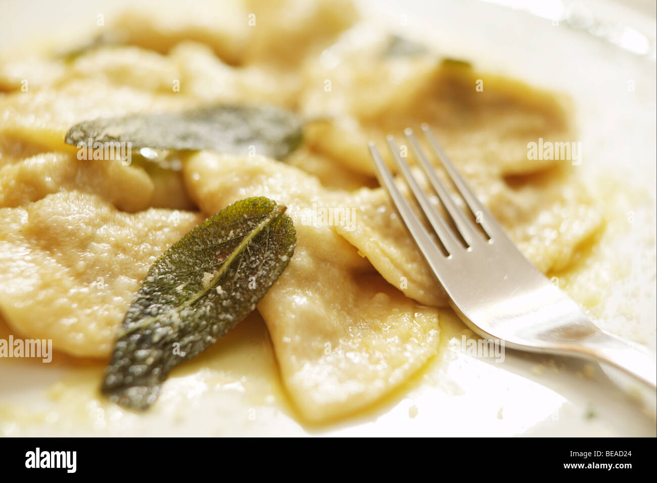 Italian cuisine. Pasta meal Stock Photo - Alamy