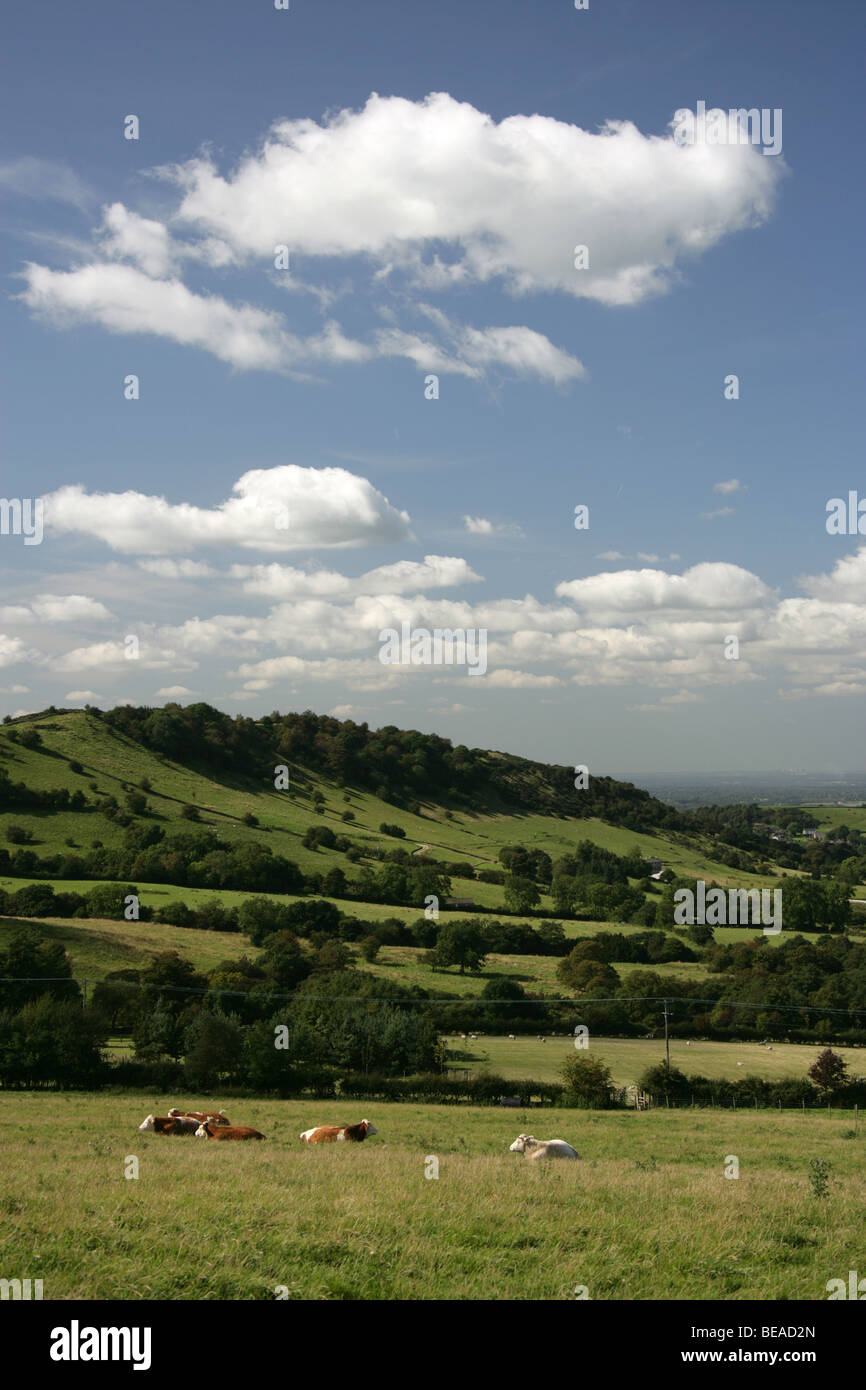 Hills and farms hi-res stock photography and images - Alamy