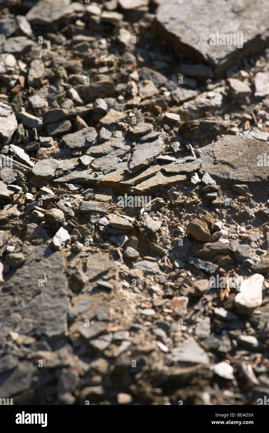 schist soil vineyard quinta da gaivosa douro portugal Stock Photo - Alamy