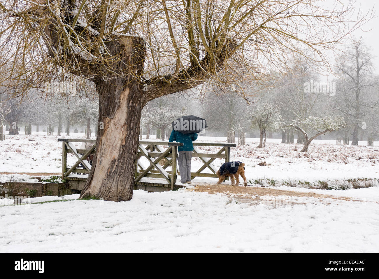 Bushey hi-res stock photography and images - Alamy