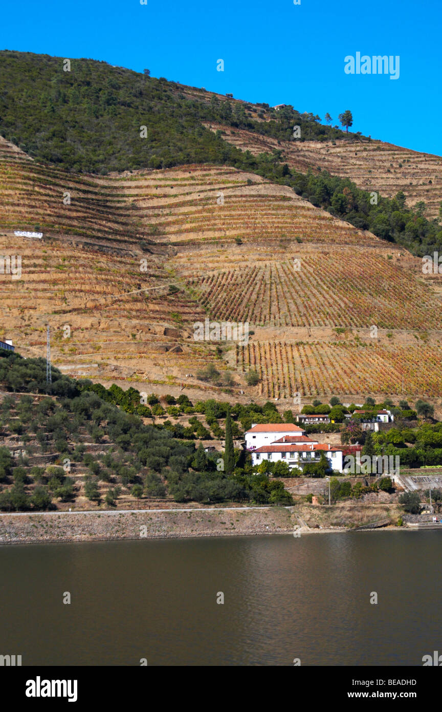 Quinta dos murcas hi-res stock photography and images - Alamy