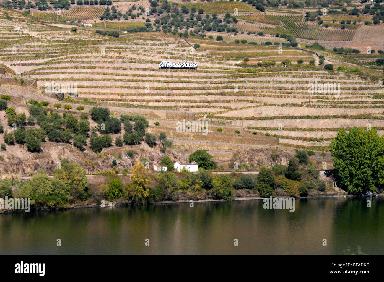 douro river and steep vineyards alves de sousa sign douro portugal ...