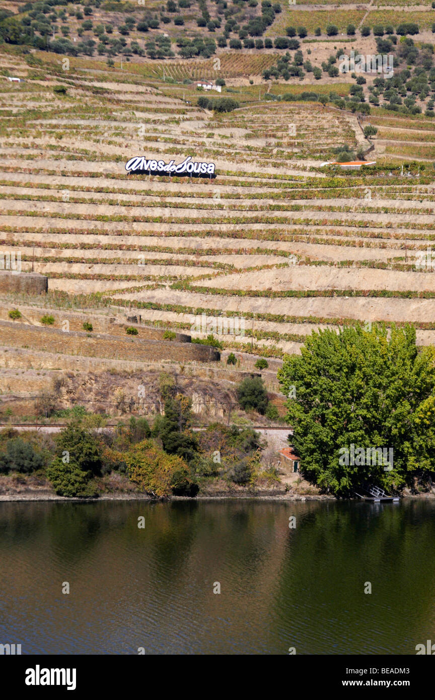 douro river and steep vineyards alves de sousa sign douro portugal ...