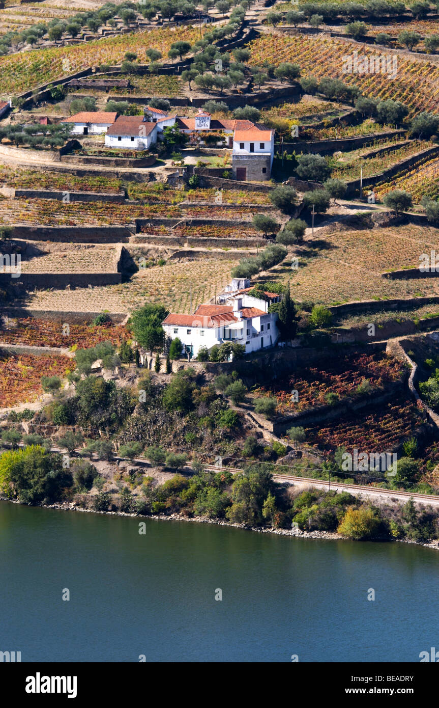 douro river and steep vineyards quinta das sopas douro portugal Stock ...
