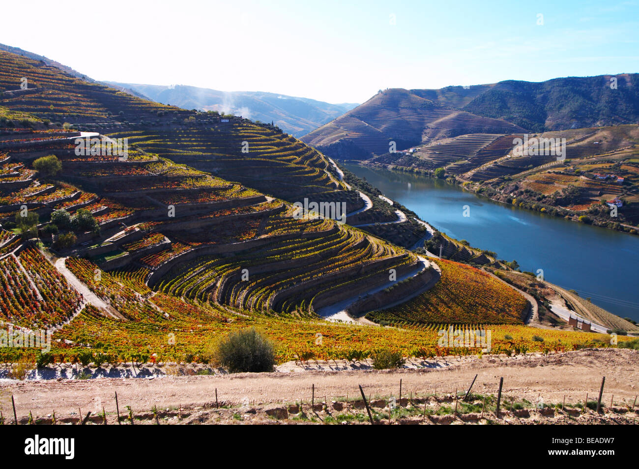 douro river and steep vineyards quinta do seixo sandeman douro portugal ...