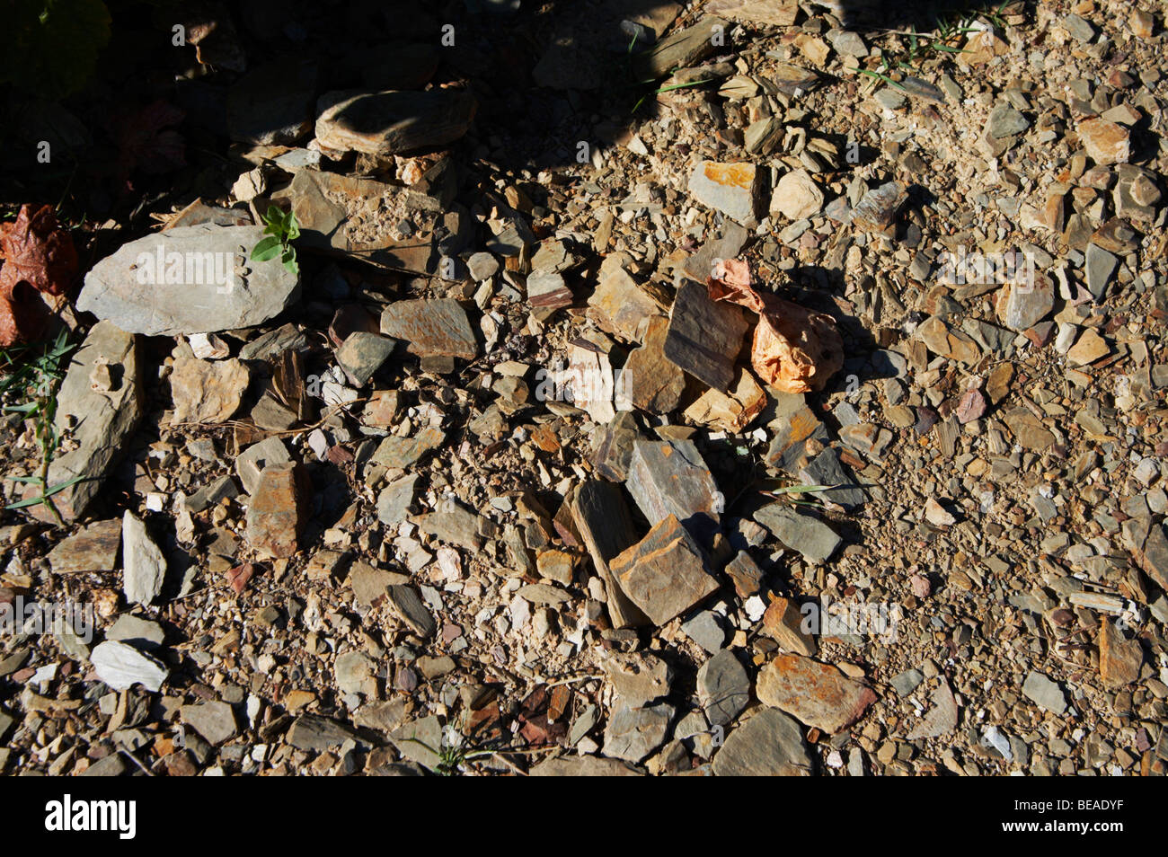 schist soil vineyard quinta do seixo sandeman douro portugal Stock ...