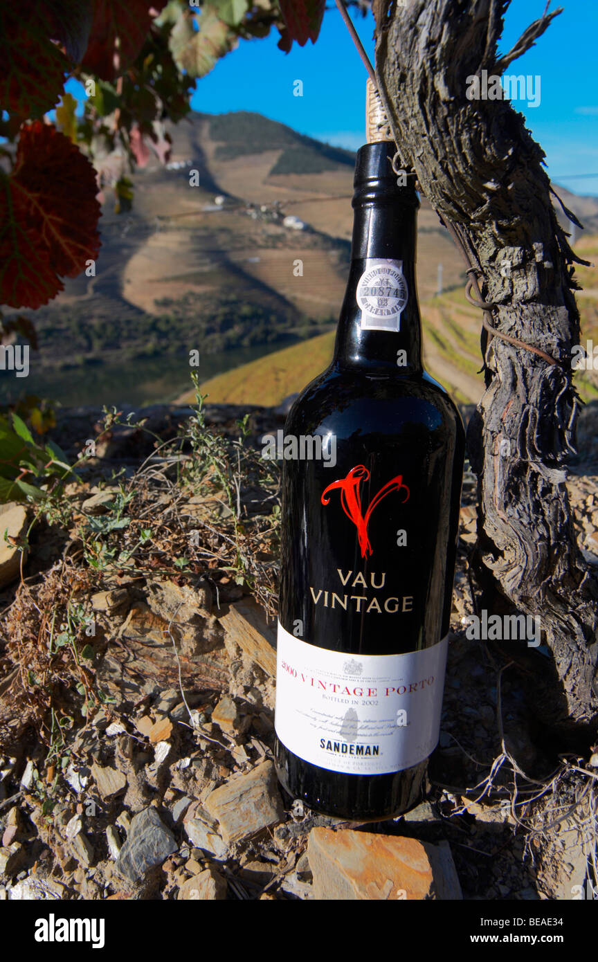 schist soil vineyard vau vintage 2000 quinta do seixo sandeman douro ...